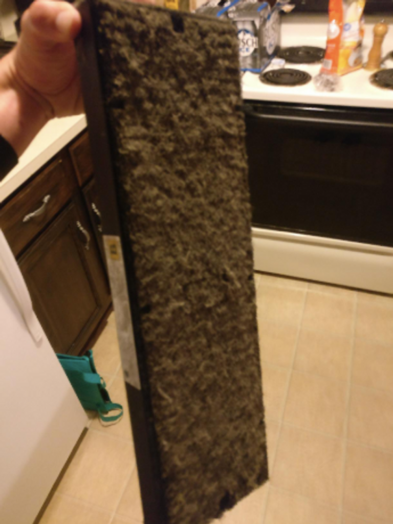 37 Products With Satisfyingly Gross Review Photos - 22 Words