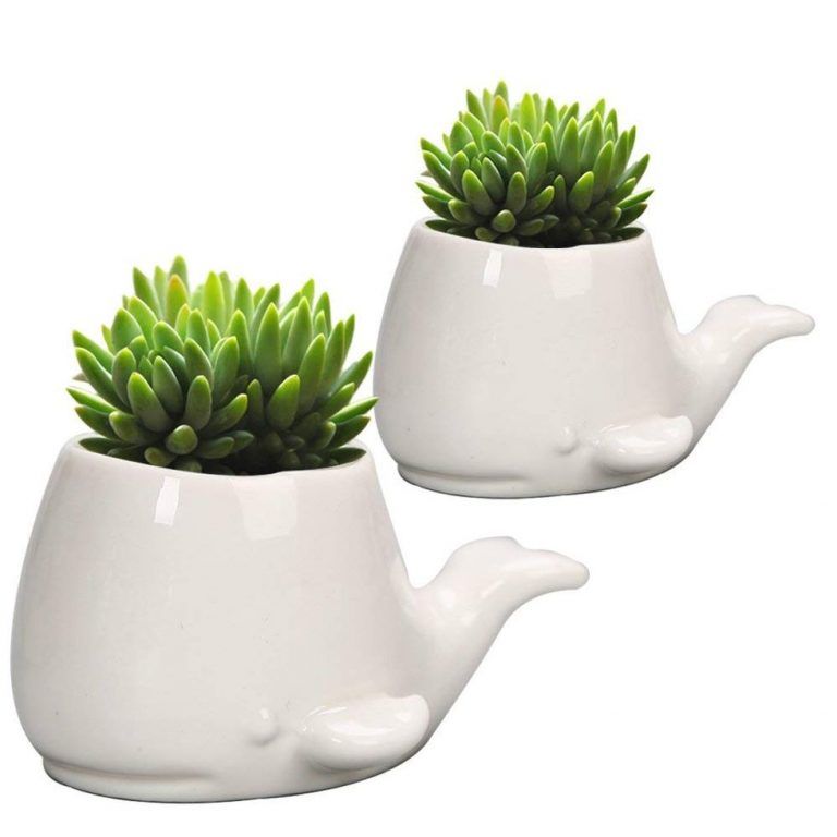 31 Cheap Little Things That'll Make You Smile Cool Gadgets - 22 Words