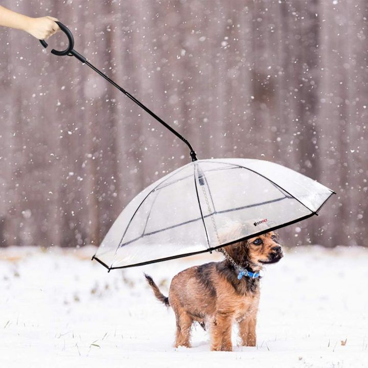31 Handy Products That'll Do The Darn Thing Cool Gadgets - 22 Words