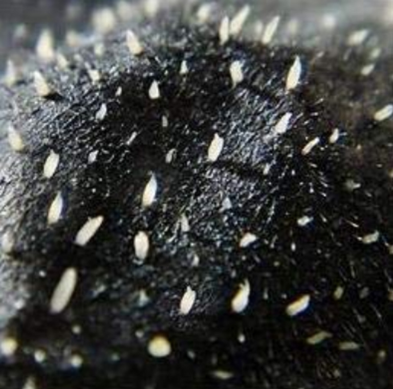 35 Products That'll Possibly Reveal Disgusting Things About Your Body ...