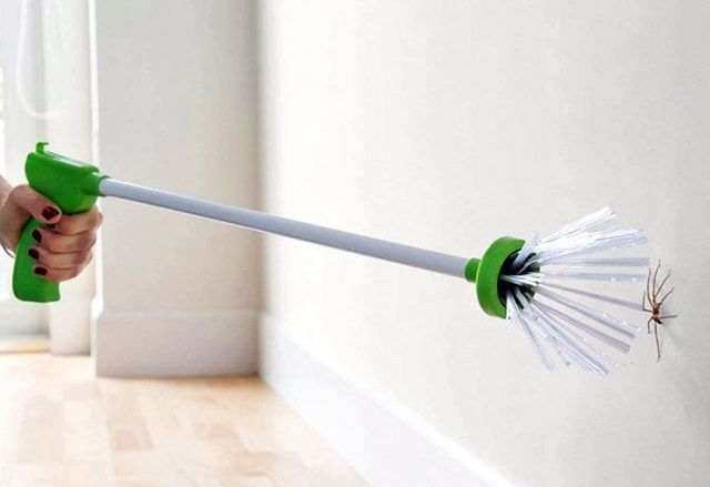 37 Essentials for Everyday Life - 22 Words