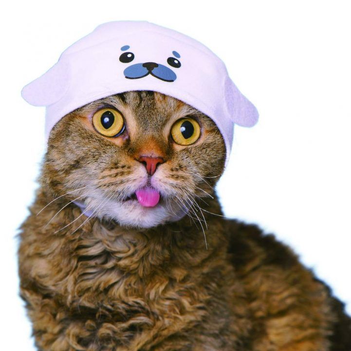 37 Products I Want That Are Ridiculous in the Best Way Cool Gadgets ...