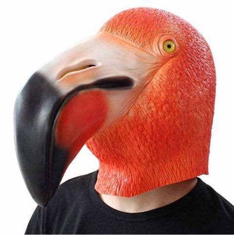 Just 37 Cheap and Weird Things You'll Probably Want to Buy - 22 Words