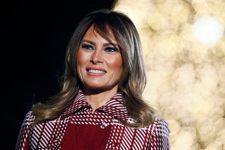 Lip Reader ‘Reveals’ What Melania Said After ‘Shutting Down’ Donald ...