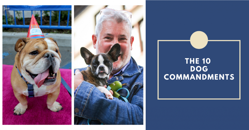 The 10 Commandments From a Dog's Perspective Will Break Your Heart - 22 ...