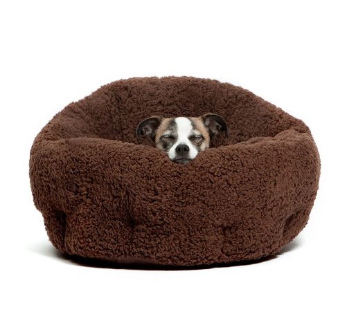 22 Genius Products for Dog Parents - 22 Words