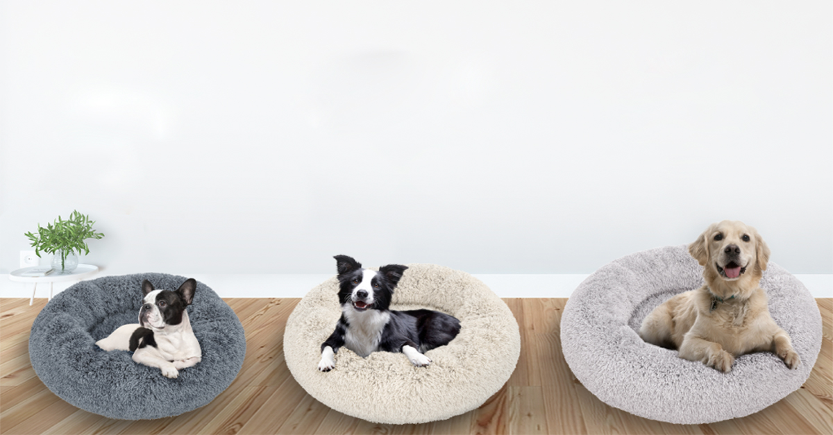 37 Interesting and Unique Pet Items You Might Not Have Seen Before Cool ...