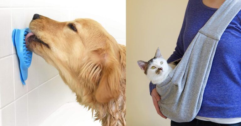 37 Pet Products You'll Recommend To Everyone Cool Gadgets - 22 Words
