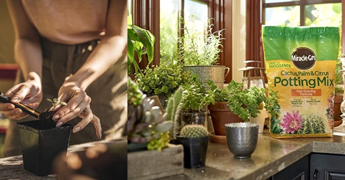 37 Items Perfect for a Small Outdoor Space Cool Gadgets - 22 Words