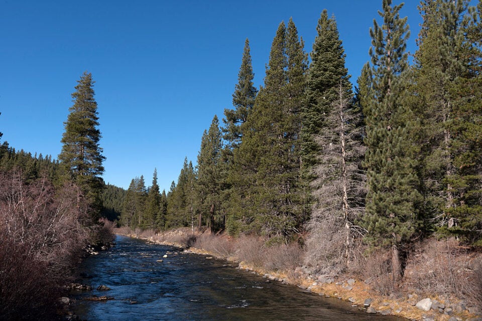 Clear Video Of Bigfoot Sighting In Colorado Shows 'Sasquatch' Hiking Up ...