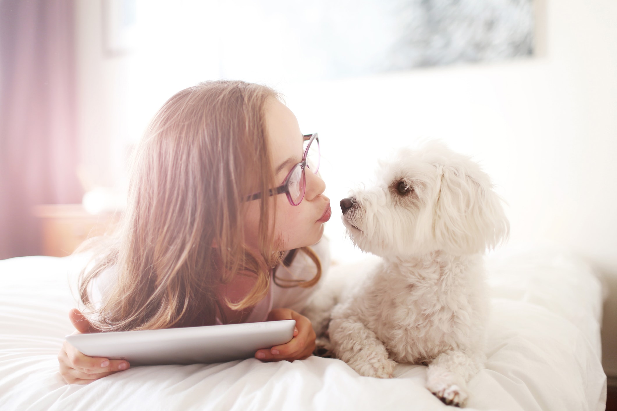 How Did Pet Owners Survive Before Angry Orange Pet Odor Remover?