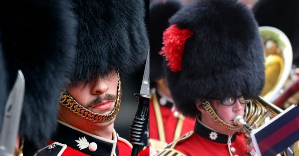 People Furious to Find Out 100 Bears Die to Make King's Guard Hats