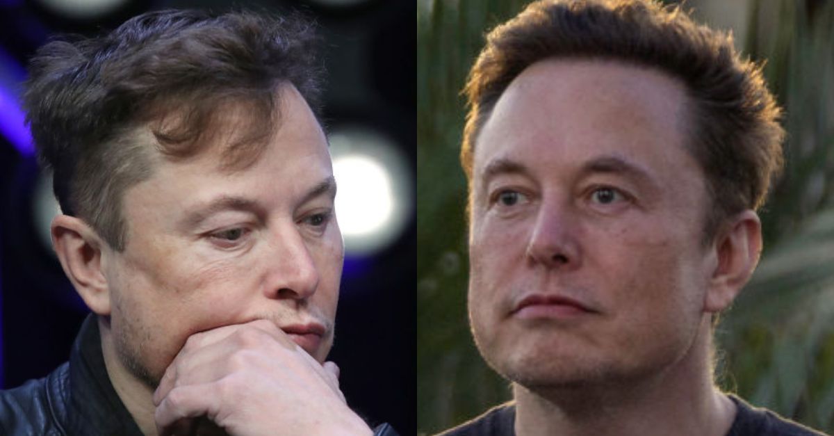 Elon Musk Says ‘I Have Too Much Work on My Plate'