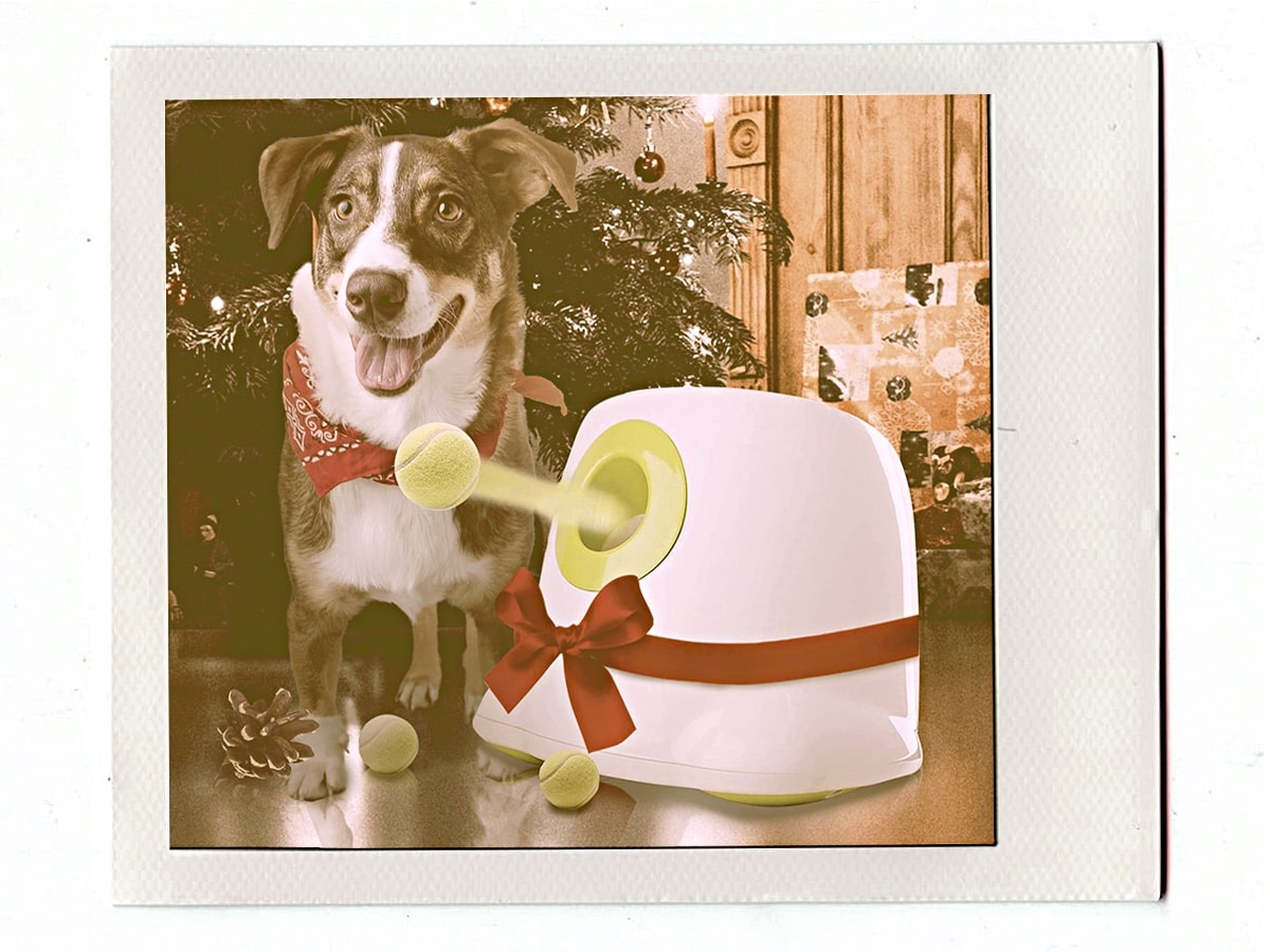 Entertain Your Kids And Pets While Stuck Inside Cool Gadgets - 22 Words