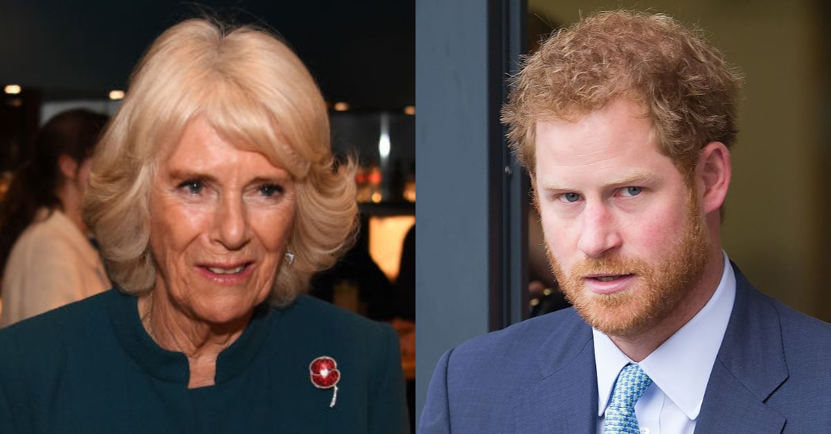 Prince Harry Calls Camilla a ‘Villain’ and Says She Was ‘Dangerous’
