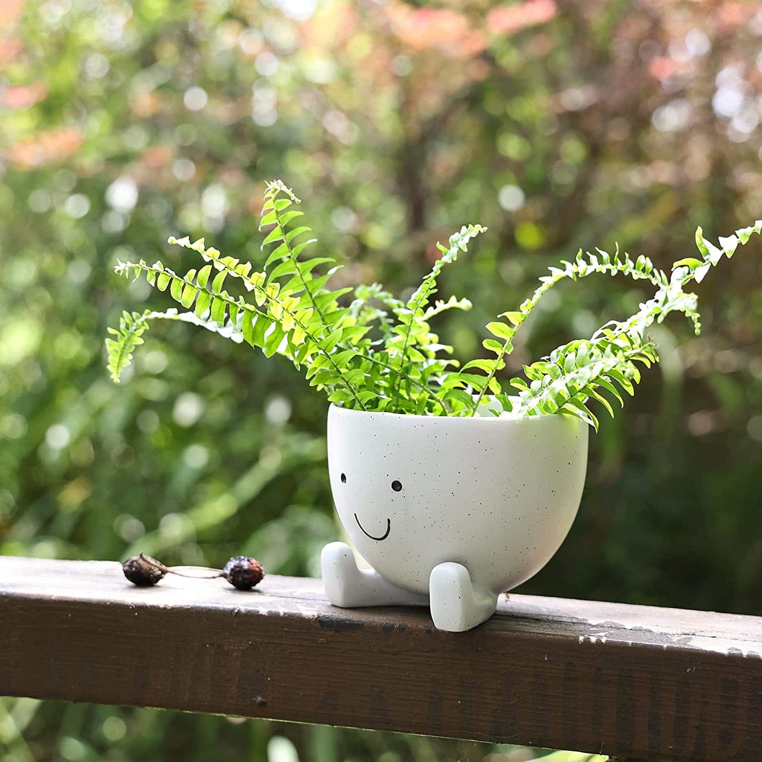 30+ Cute and Clever Planters on Amazon Home - 22 Words