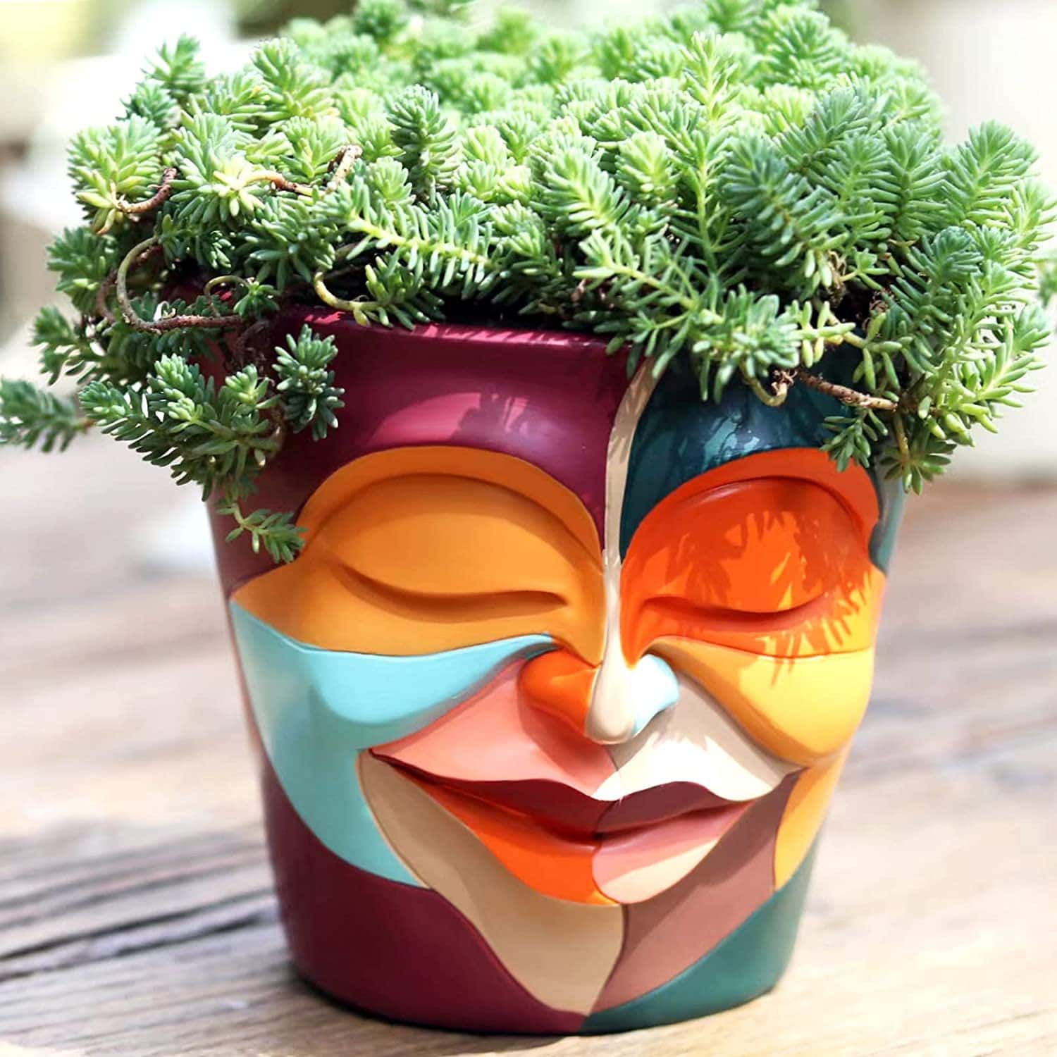 30+ Cute and Clever Planters on Amazon Home - 22 Words