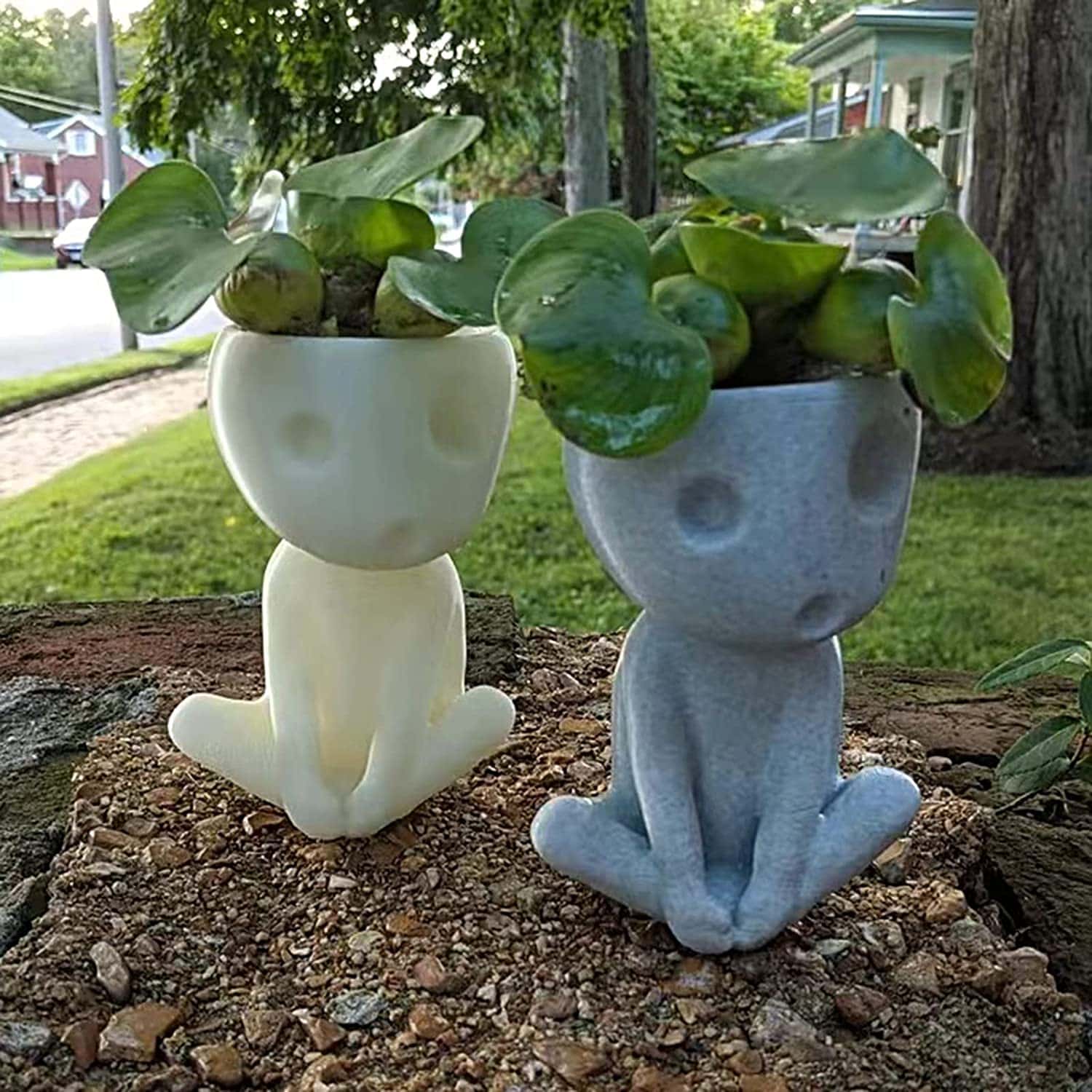 30+ Cute and Clever Planters on Amazon Home - 22 Words