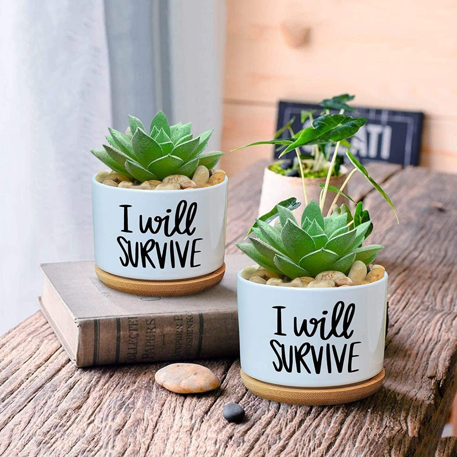30+ Cute and Clever Planters on Amazon Home - 22 Words