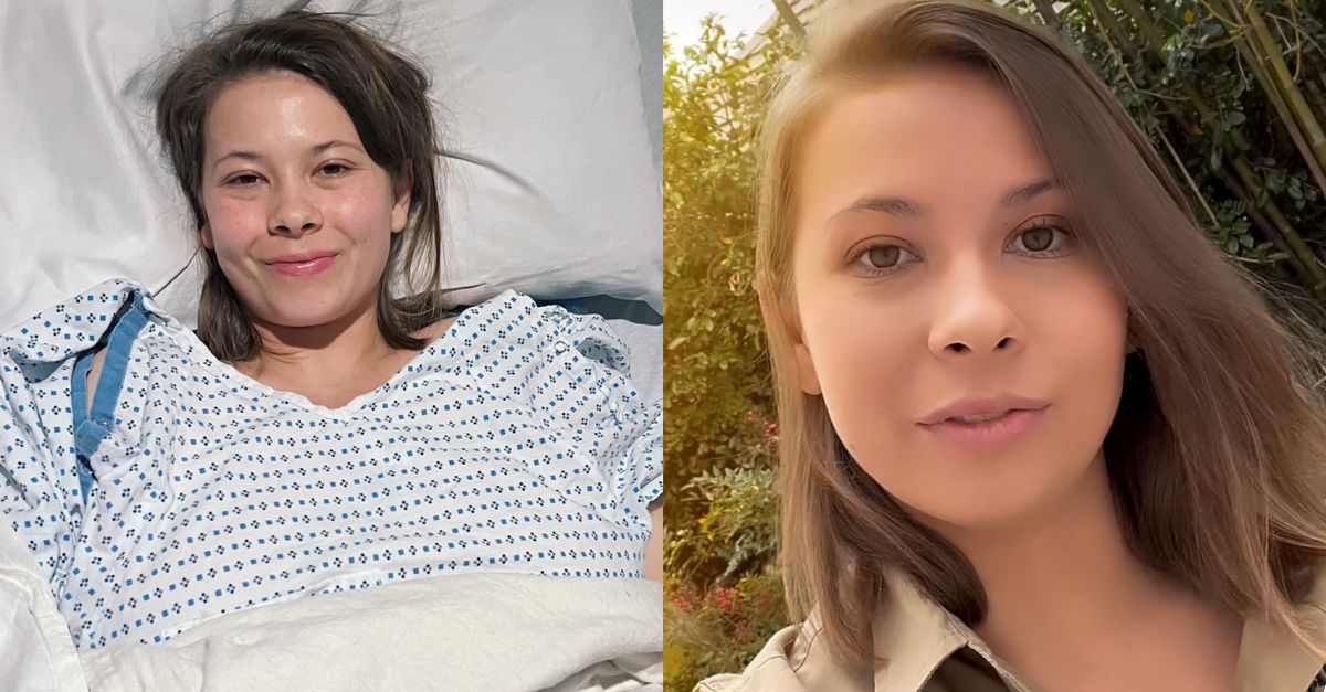 Bindi Irwin Undergoes Huge Surgery After Enduring 'Insurmountable Pain’