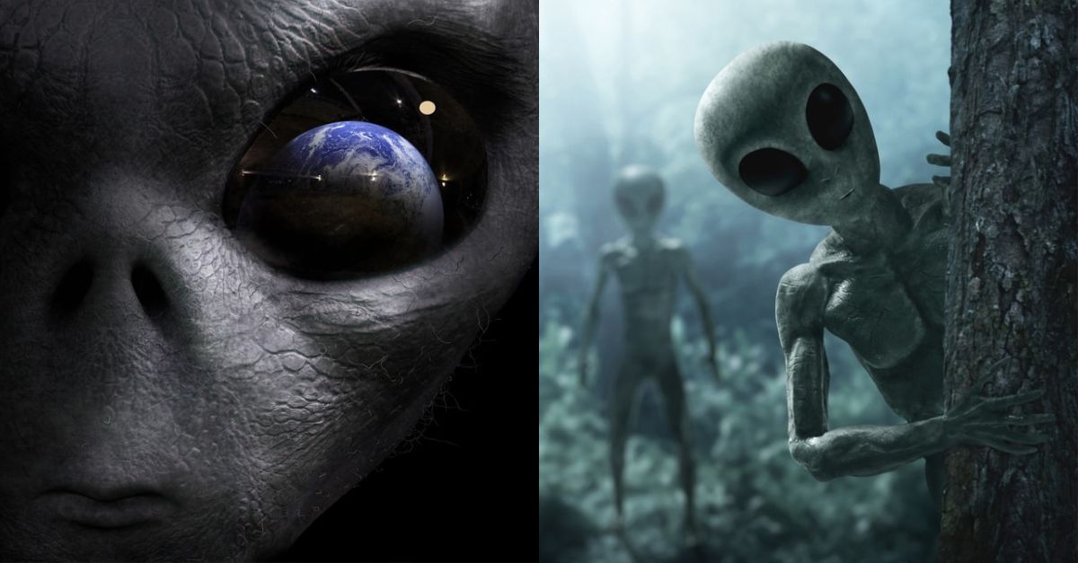 New Development After Residents Reported Seeing '10ft Aliens with Large ...