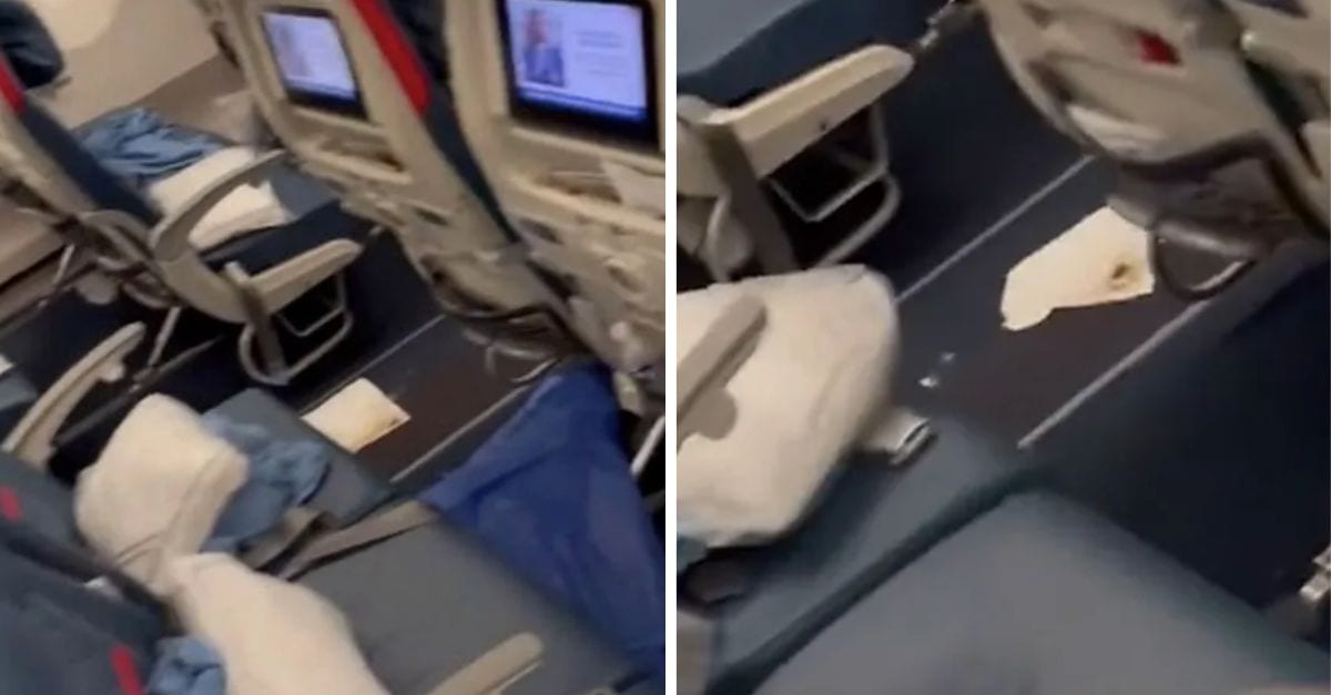 Disgusting Video Shows Inside Of Plane That Had To Land Early After ...