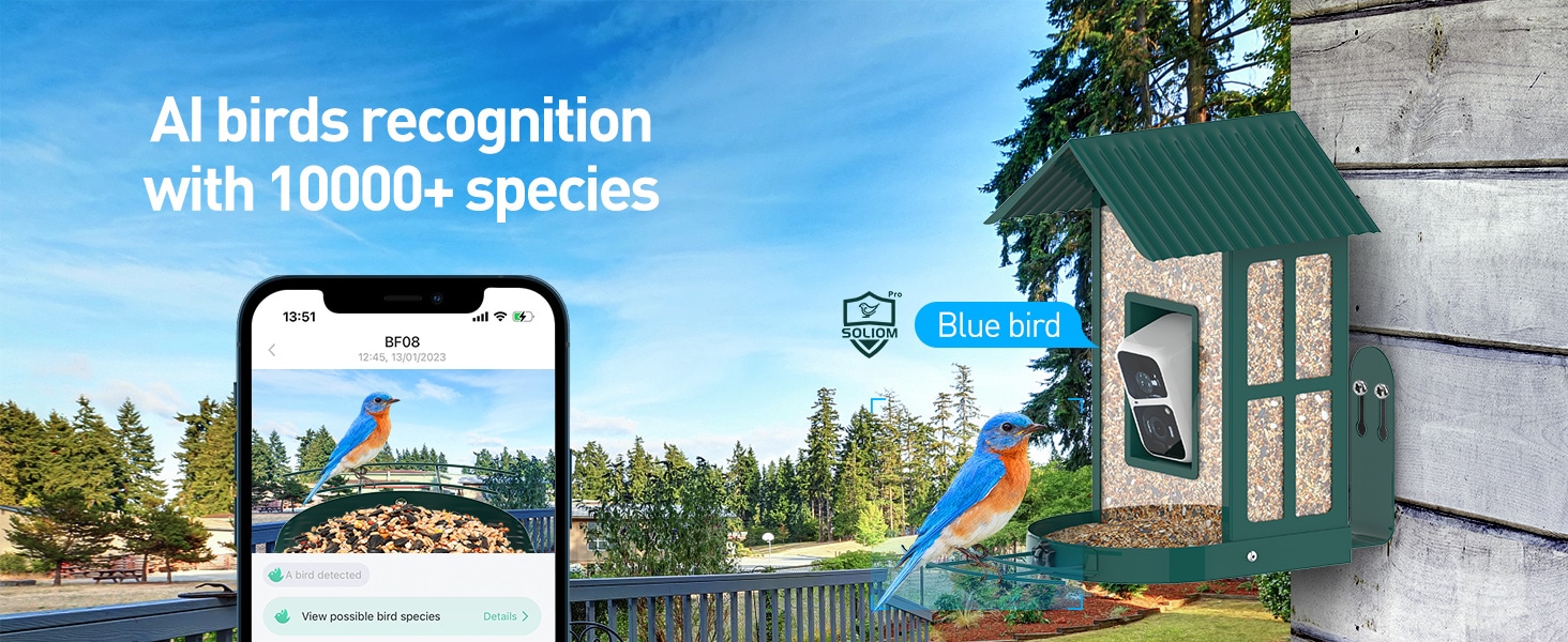 Last Chance! Get 48% Off on SOLIOM Smart Bird Feeder Camera Today Only ...