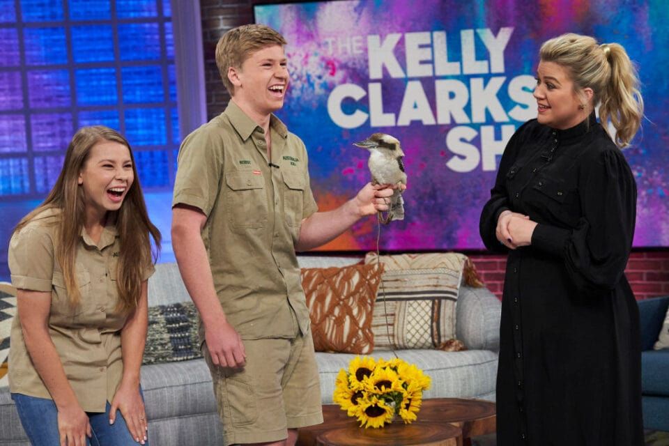 Bindi Irwin Shares Heartbreaking Health Update That Leaves Fans ...