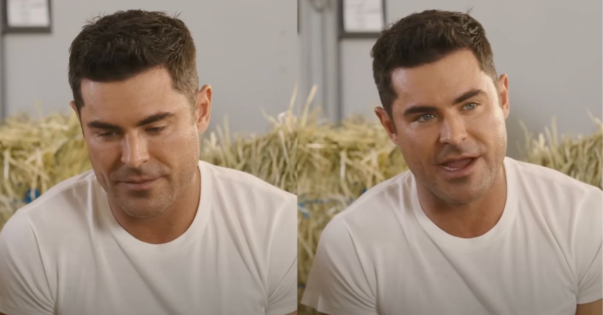 Zac Efron Shocks Fans With His Appearance In New Interview