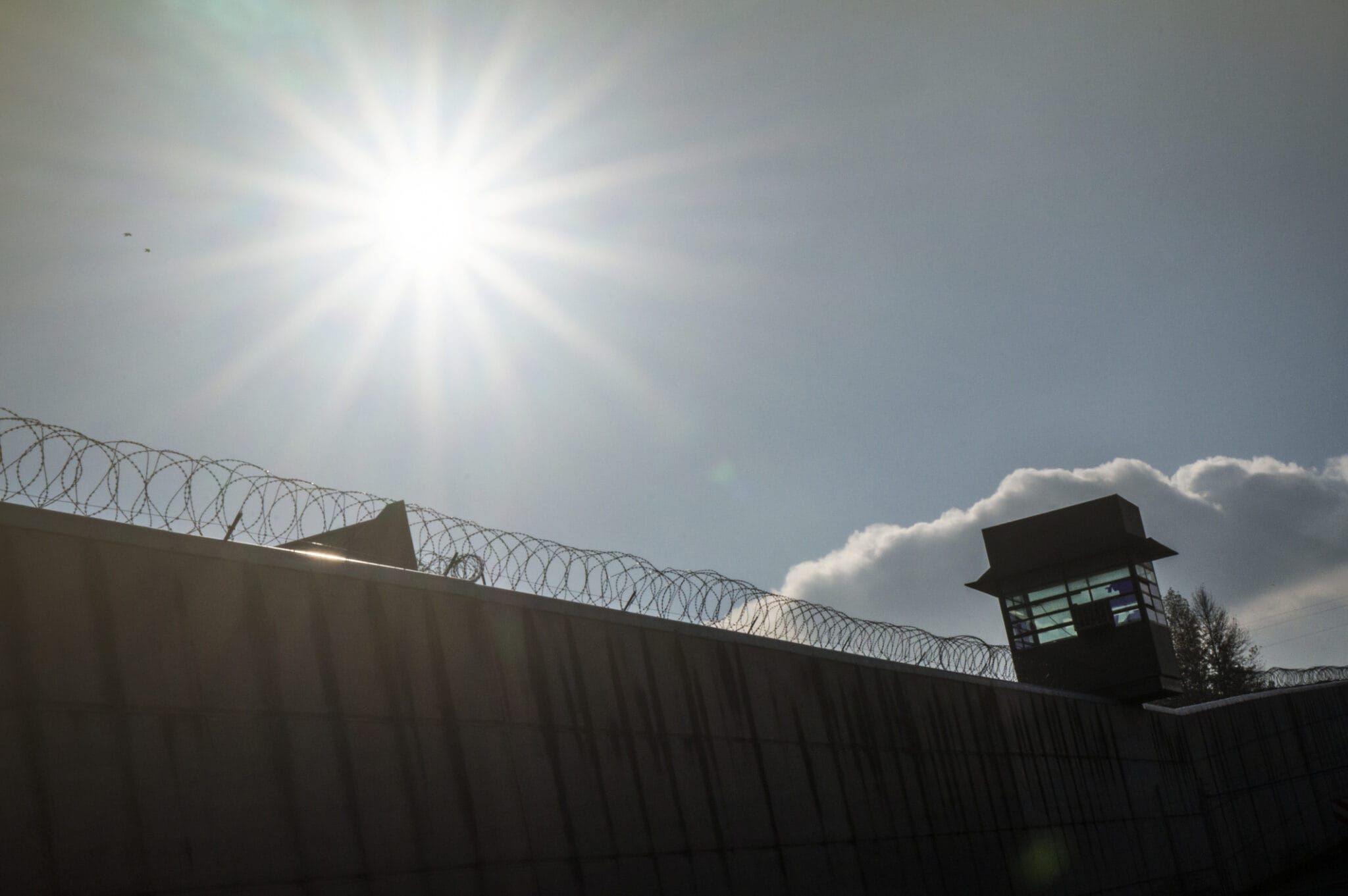 Viral Georgia Sorority Girl Lily Stewart Poses In Mugshot After Second ...