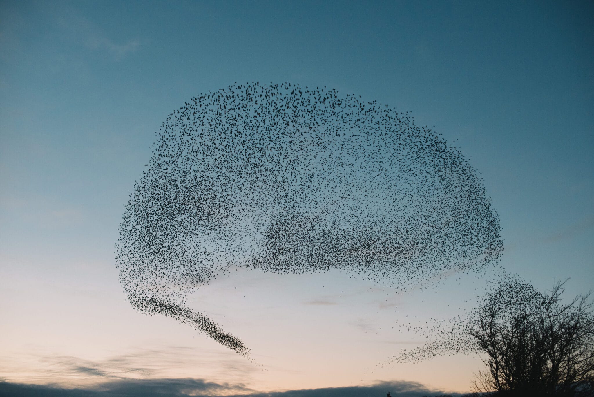 World's Clearest UFO Photo Was Hidden From Public For Years ...