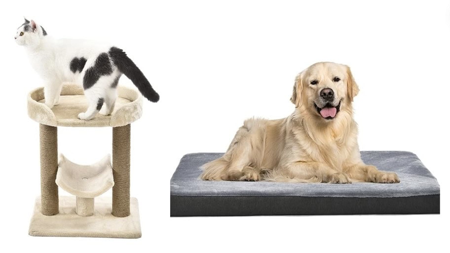 30+ Pet Essentials From Amazon Basics That Make Life So Much Easier ...