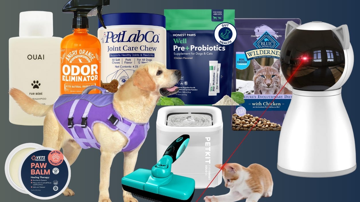 Limited Time: Top-Rated Pet Products at Jaw-Dropping Amazon Discounts ...